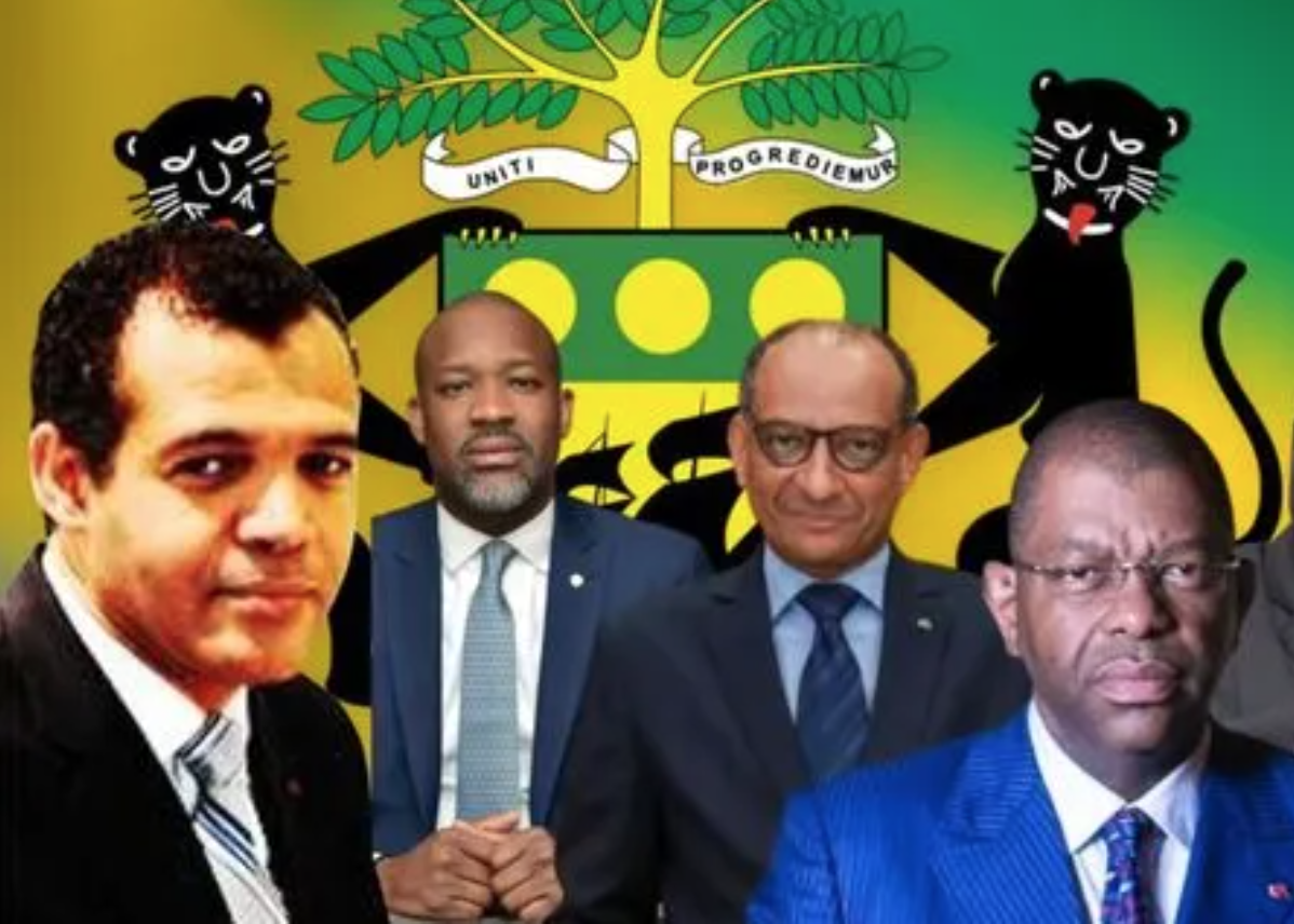 Les binationaux gabonais désormais éligibles à la présidence - GNext News